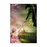 Wicked Movie Musical Throw Blanket, Wicked Merch Musicals Flannel Soft ...