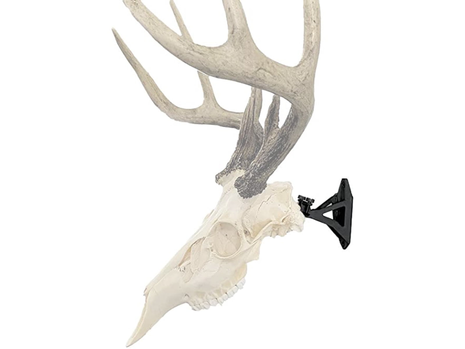 Wicked North Gear The Hang Up European Mounting Bracket, Black ...