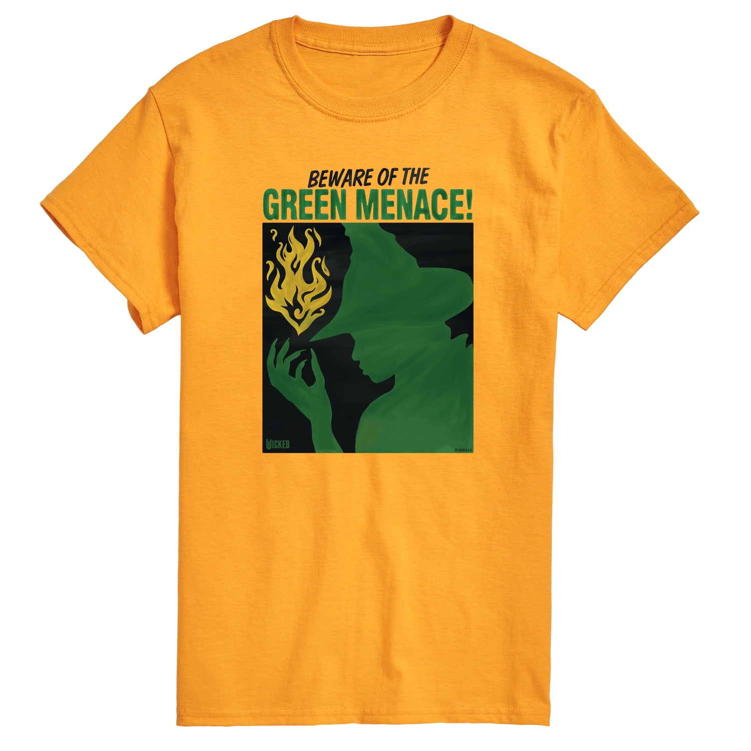 Wicked: Part 2 - Elphaba Green Menace - Men's Short Sleeve Graphic T ...