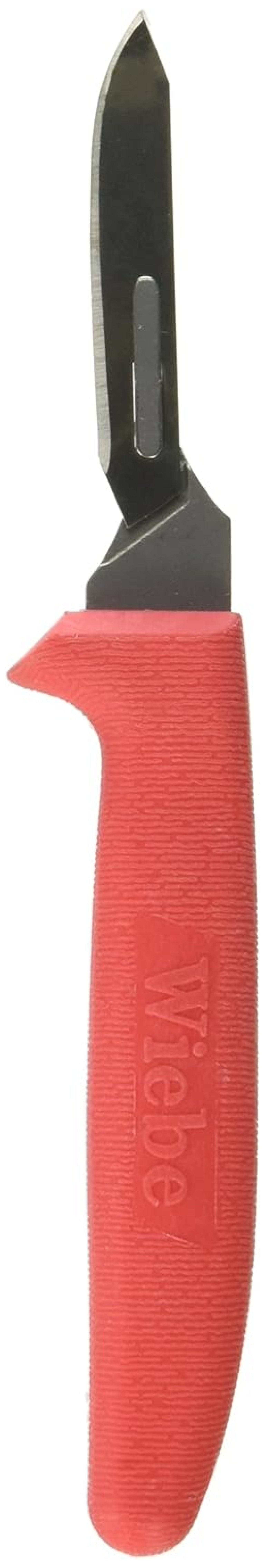 Wicked Sharp Fixed Blade Scalpel Knife, Hunting Knife with 12 ...