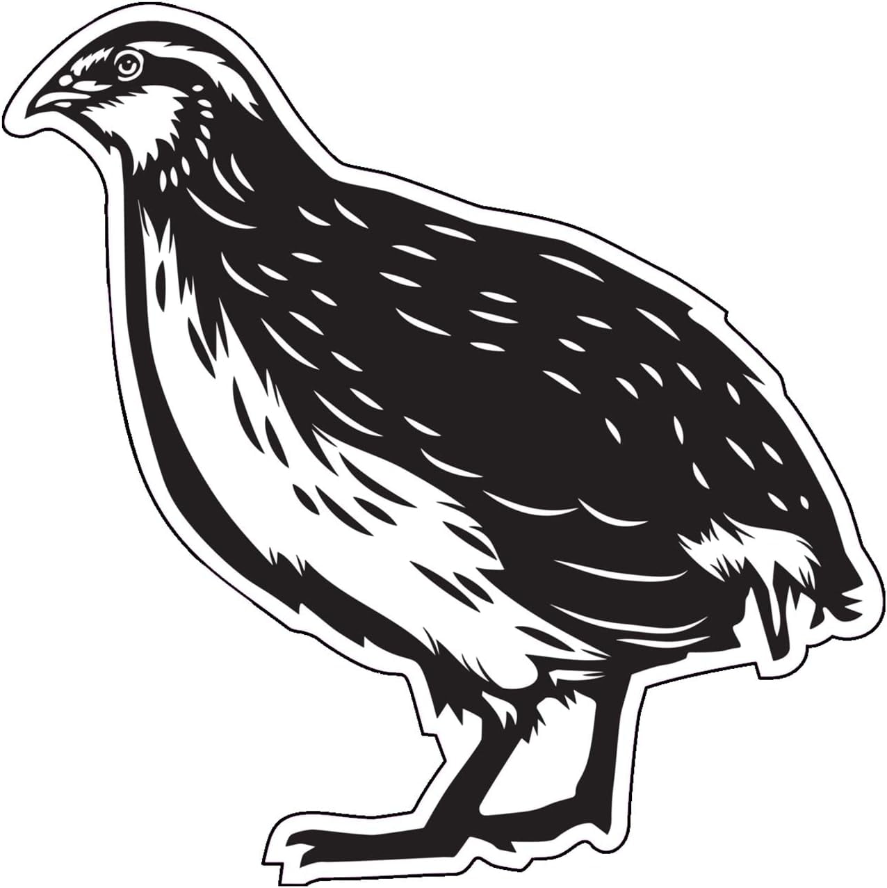WickedGoodz Quail Vinyl Decal - Hunting Bumper Sticker - for Laptops ...