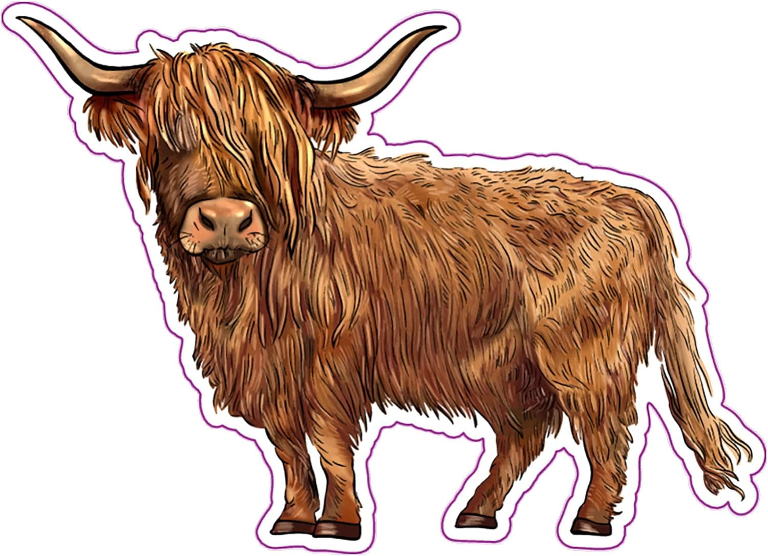 WickedGoodz Scottish Highlander Cow Vinyl Decal - Western Bumper ...
