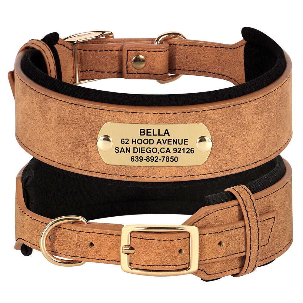 Wide Leather Dog Collar Personalized with Nameplate Soft Padded for ...