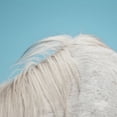 Widowspeak - All Yours - Music & Performance - CD - Walmart.com