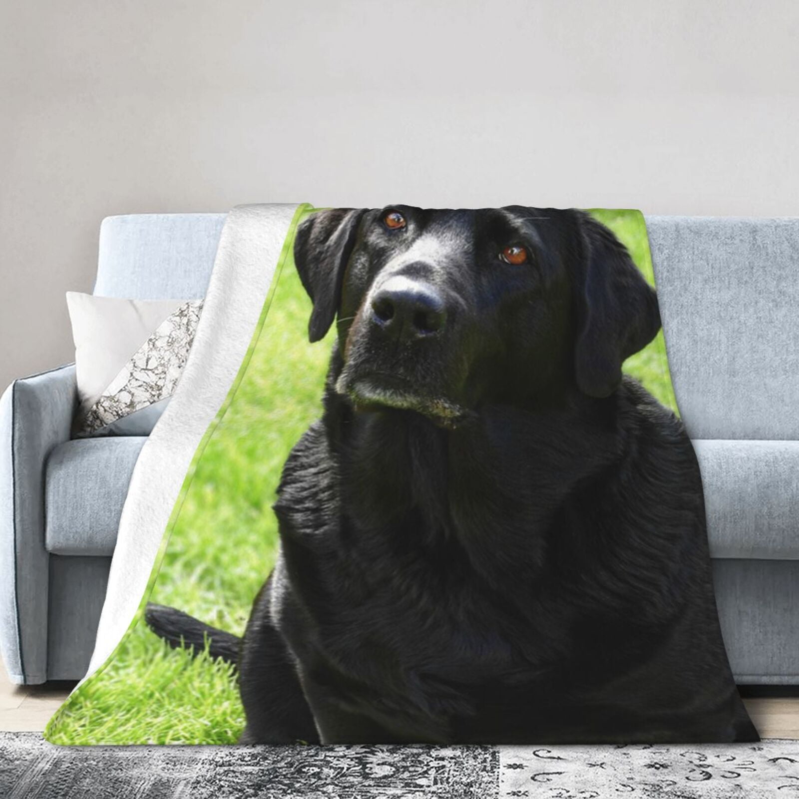 Wijzvio Black Labrador Retriever Dog Throw Blanket Soft Fuzzy Fleece ...