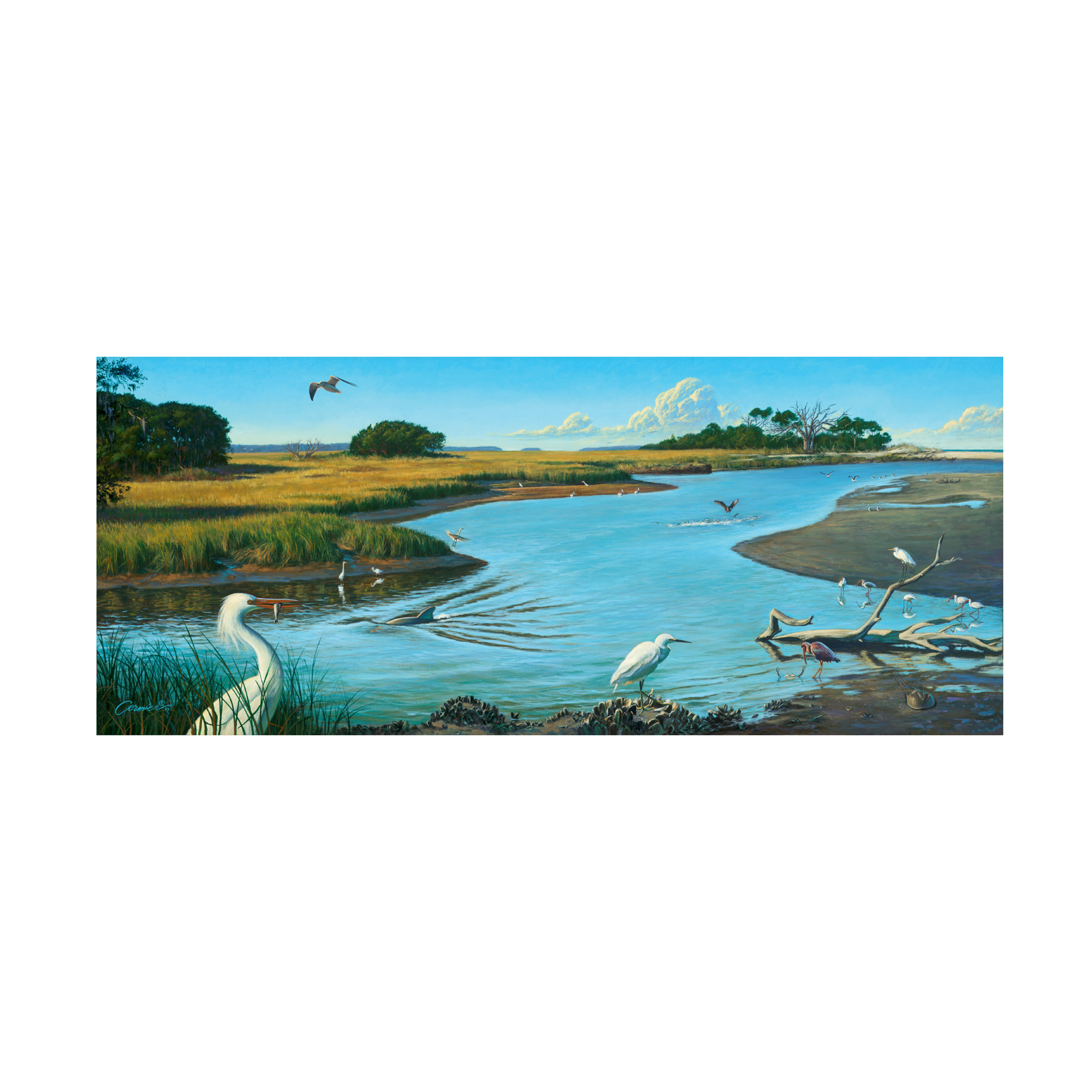 Wil Cormier 'Birds Of Paradise' Canvas Art - Walmart.com