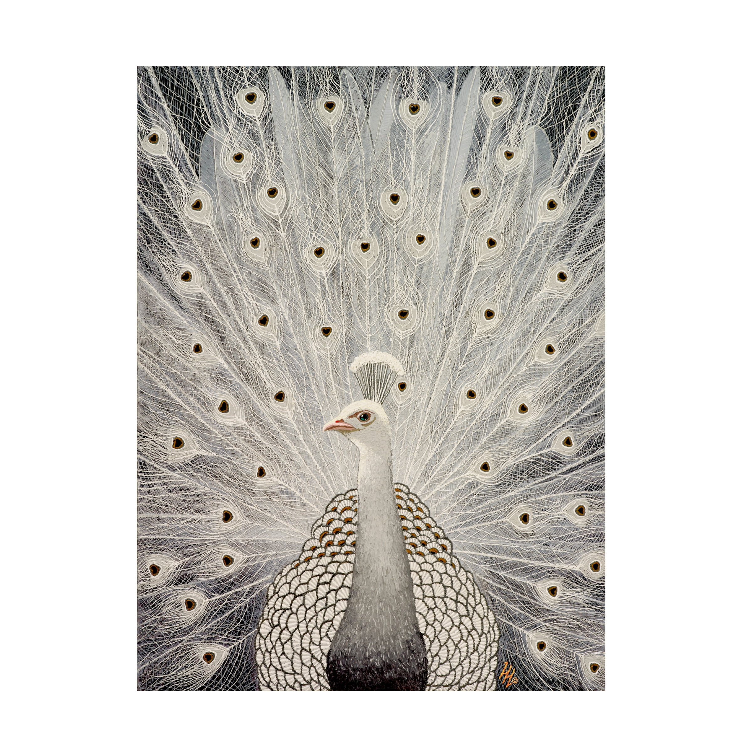 Wil Cormier 'White Peacock' Canvas Art - Walmart.com