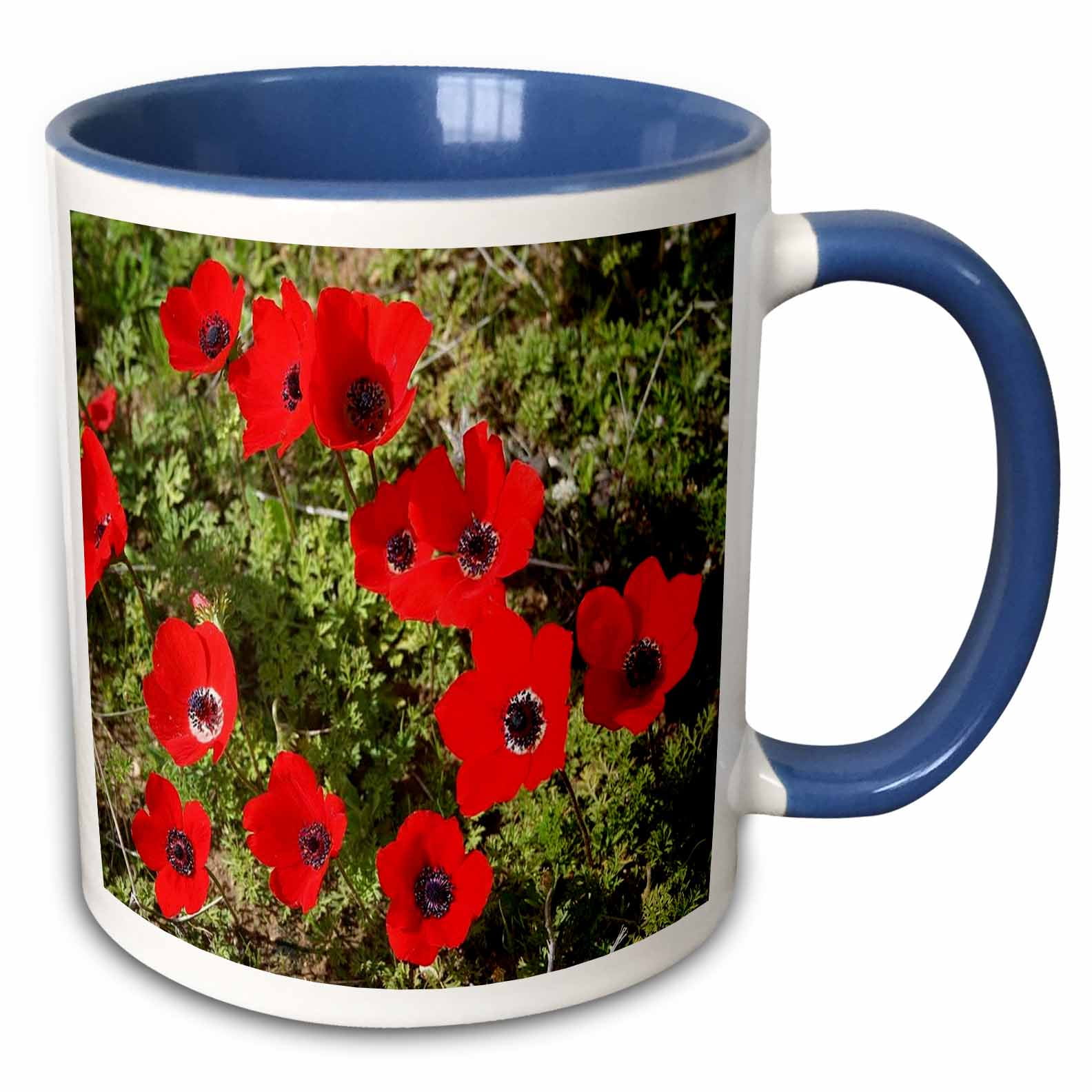 3drose, Wild Anemone Flower in Spring Field-symbol of Aphrodites Slain ...