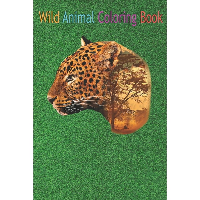 Beautiful Wild Animal Photos