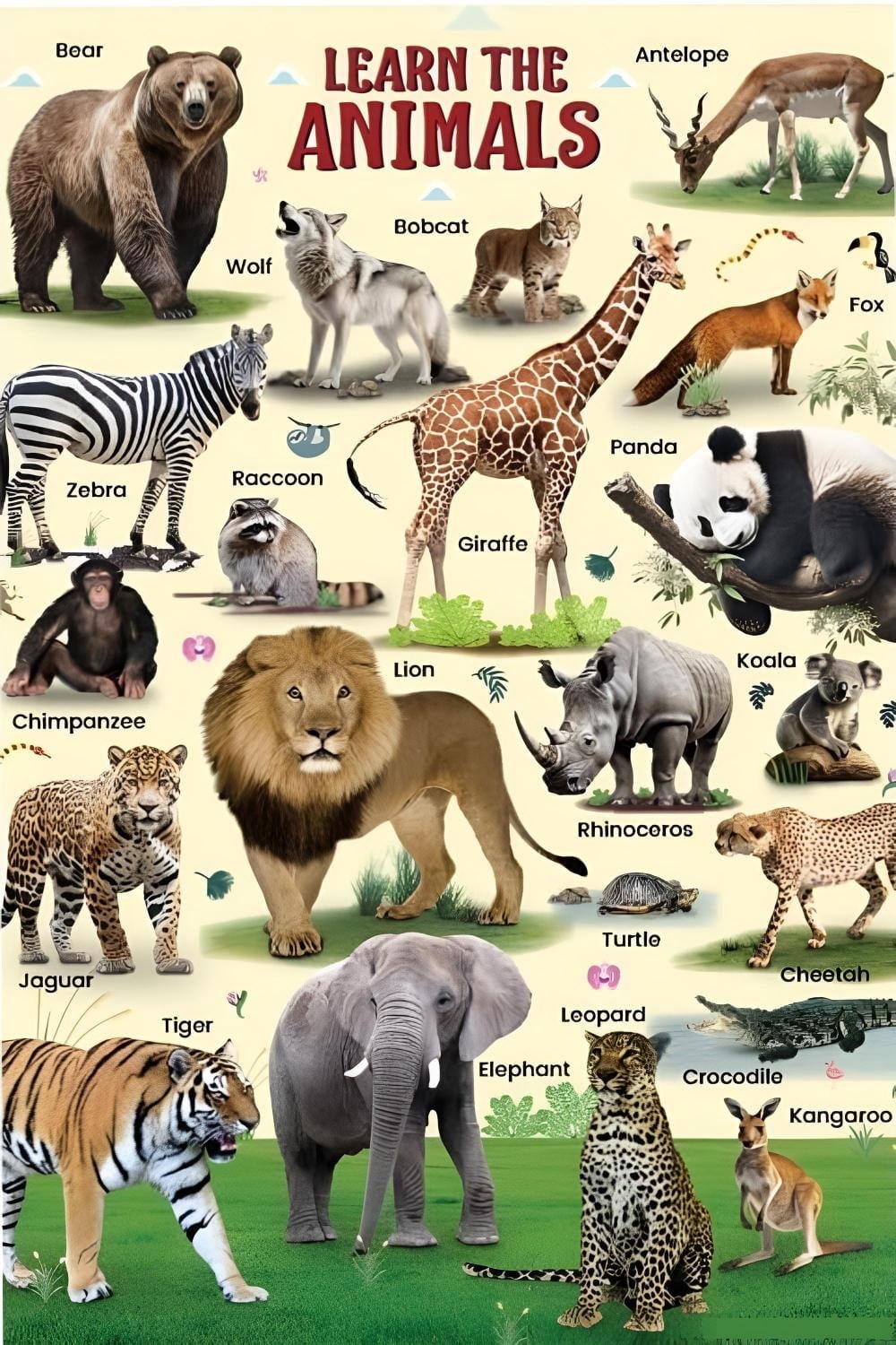 Wild Animal Educational Poster for Kids Classroom poster Wall Charts ...