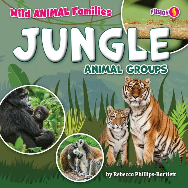 Wild Animal Families Jungle Animal Groups, (Hardcover) - Walmart.com