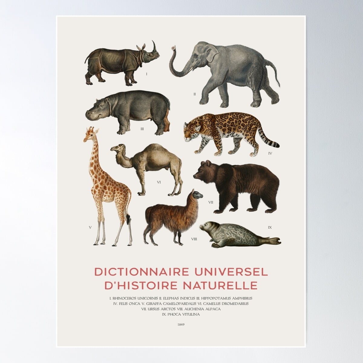 Wild Animals Chart Poster Wall Art, Modern Wall Decor For Living Room ...