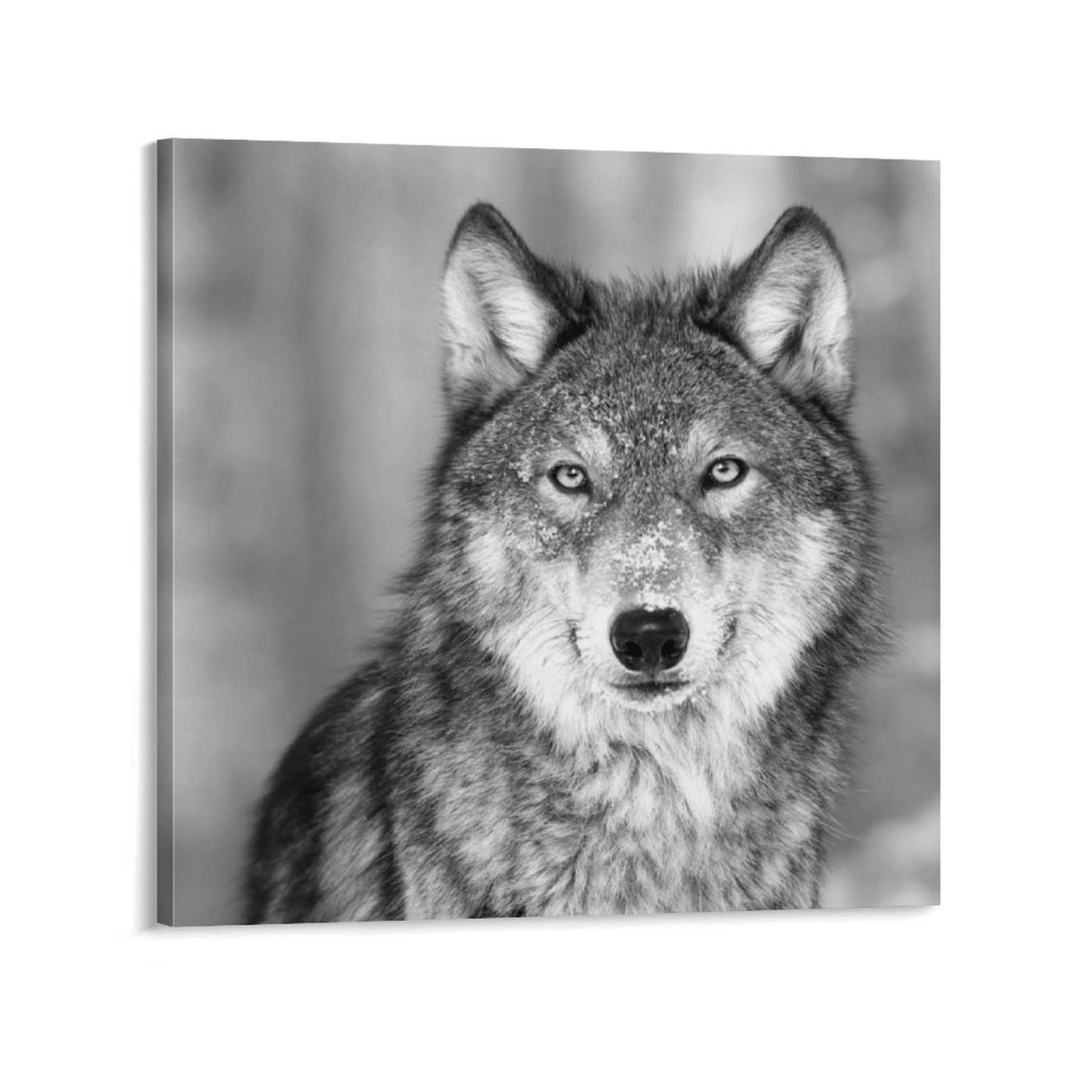 Wild Animals By Style Wolf Animal Poster Photo Vibrant Glossy Art Mural ...