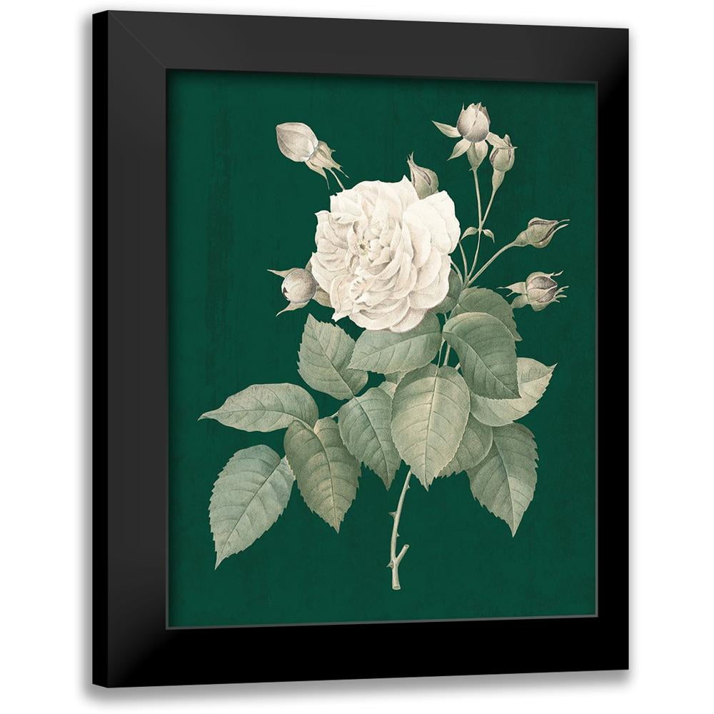 Wild Apple Portfolio 12x14 Black Modern Framed Museum Art Print Titled ...