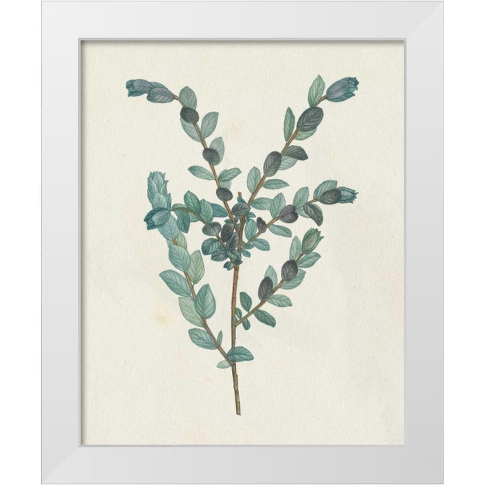 Wild Apple Portfolio 12x14 White Modern Wood Framed Museum Art Print ...