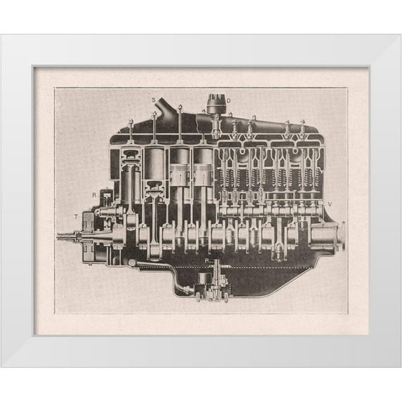 Wild Apple Portfolio 14x12 White Modern Wood Framed Museum Art Print ...