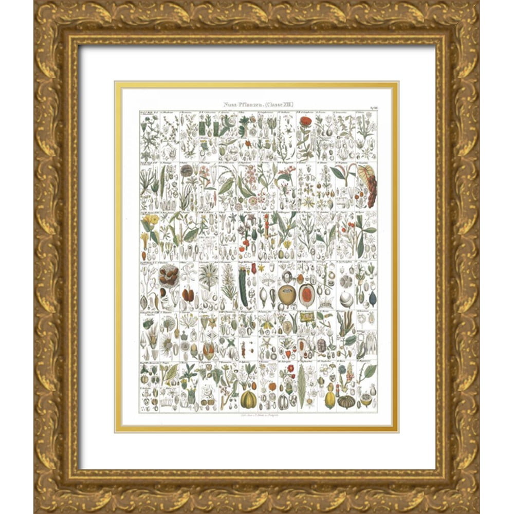 Wild Apple Portfolio 15x18 Gold Ornate Wood Framed with Double Matting ...