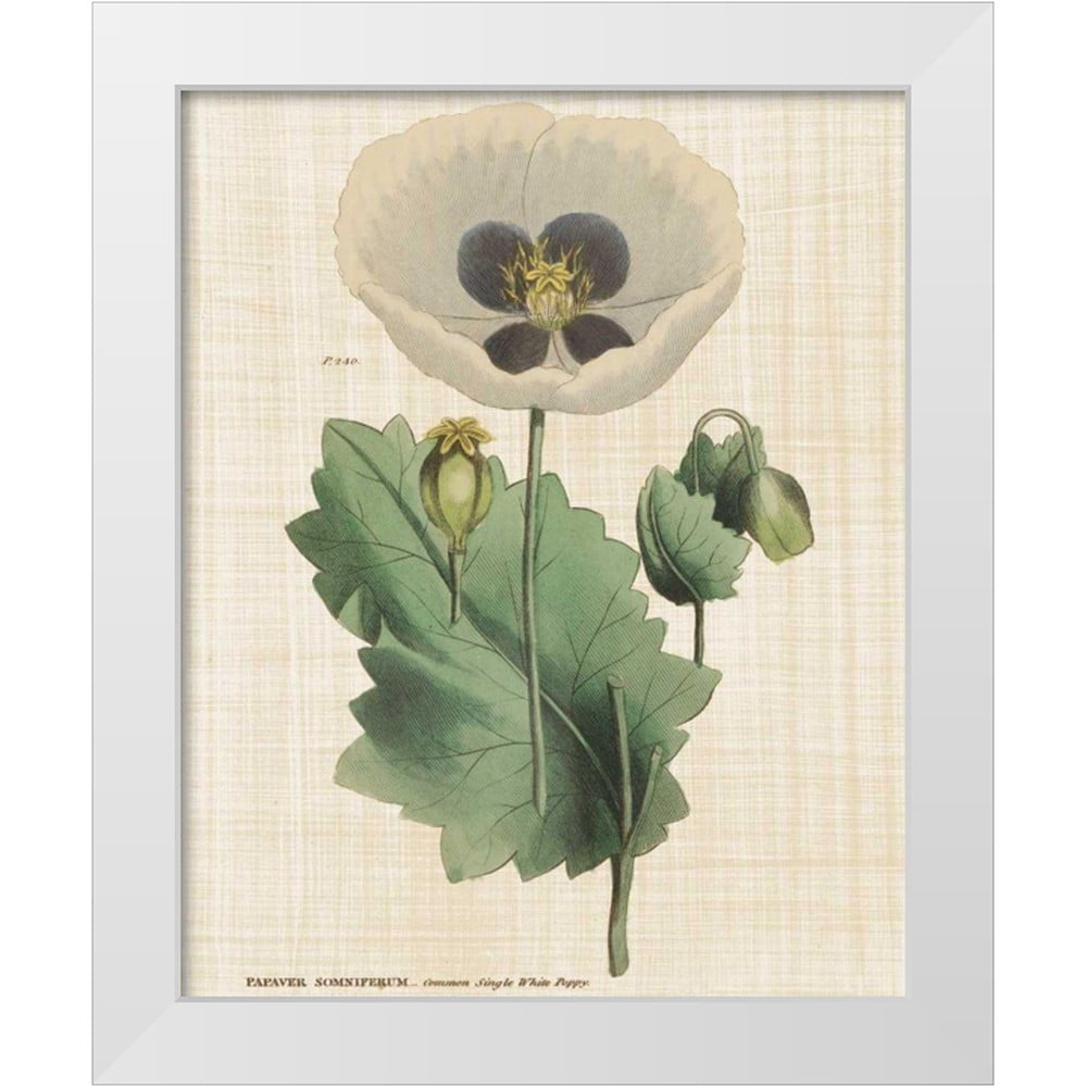 Wild Apple Portfolio 15x18 White Modern Wood Framed Museum Art Print ...