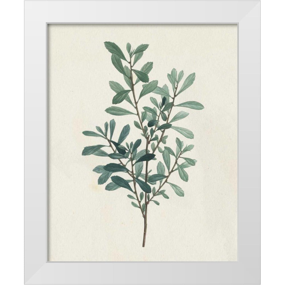 Wild Apple Portfolio 15x18 White Modern Wood Framed Museum Art Print ...