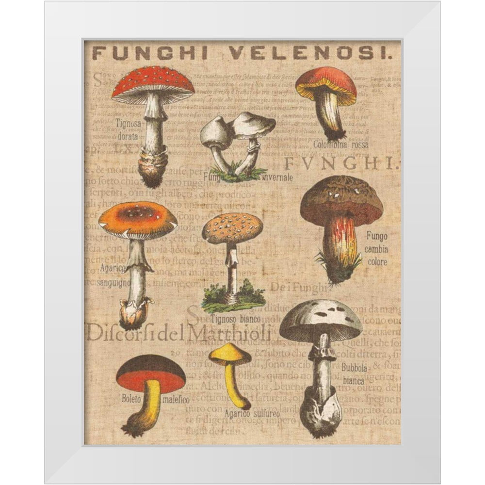 Wild Apple Portfolio 26x32 White Modern Wood Framed Museum Art Print ...