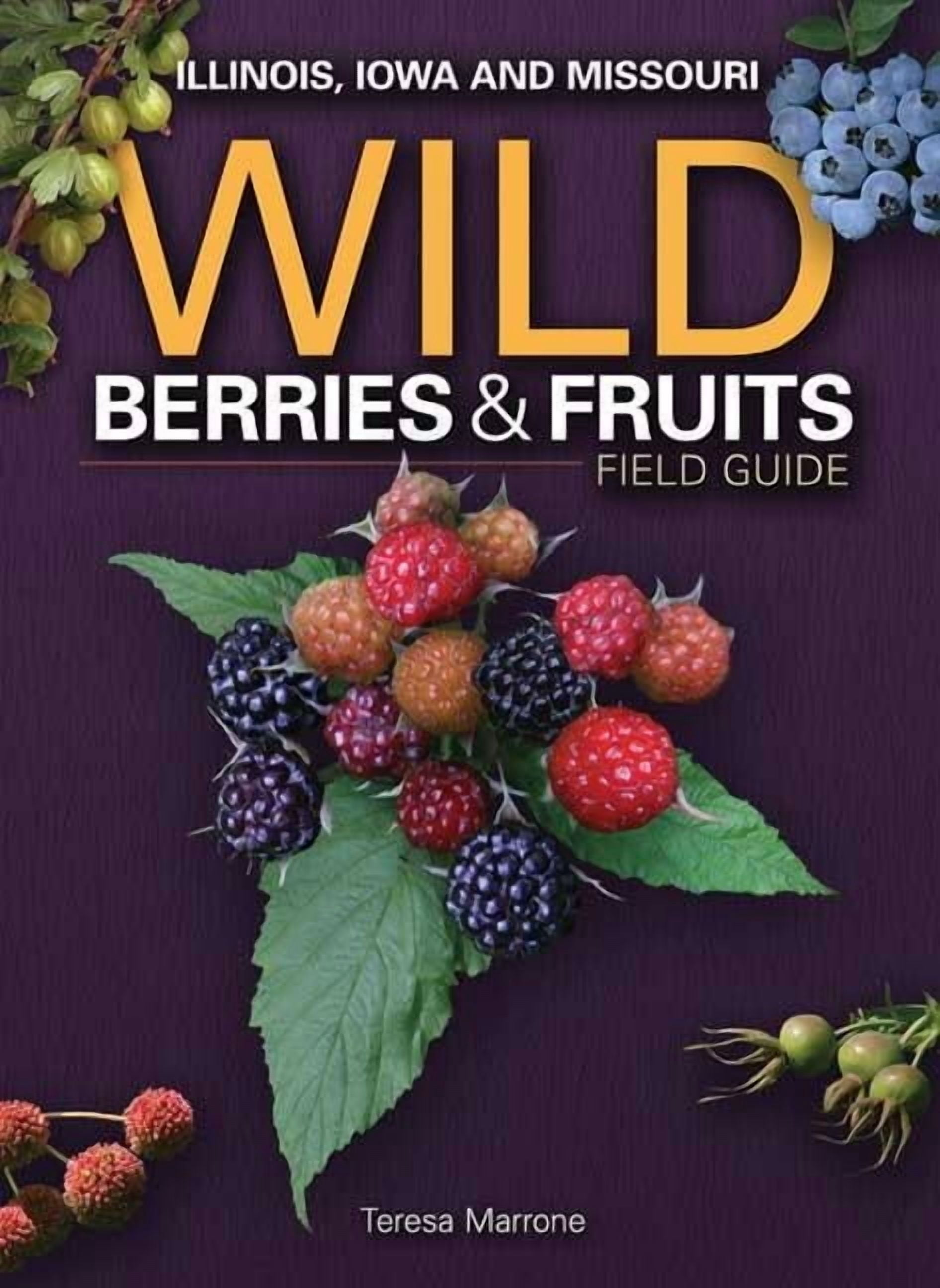 Wild Berries & Fruits Identification Gui Wild Berries & Fruits Field ...