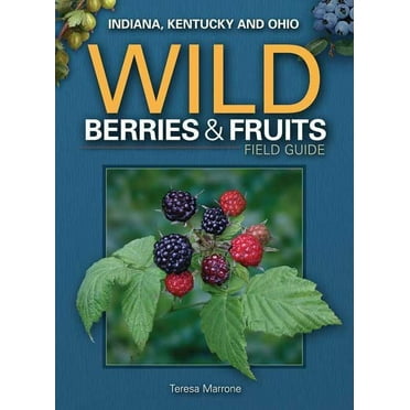 Wild Berries & Fruits Identification Wild Berries & Fruits Field Guide ...