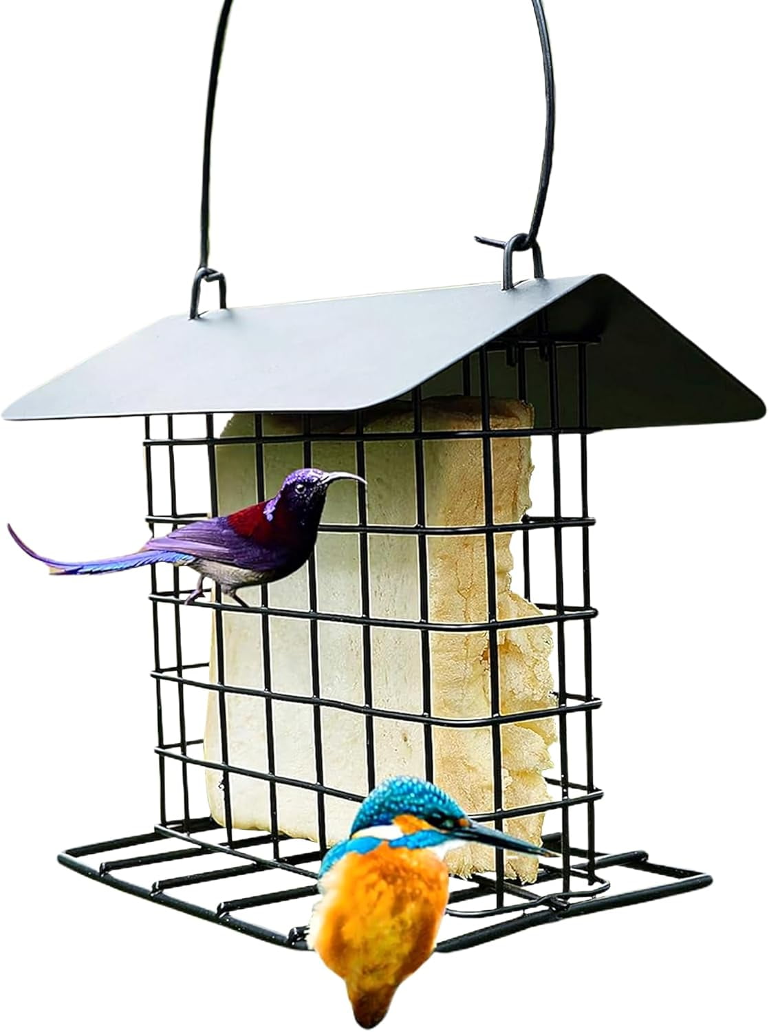 Wild Bird Feeders for Outdoors Hanging: Suet Cage Suet Holder with ...