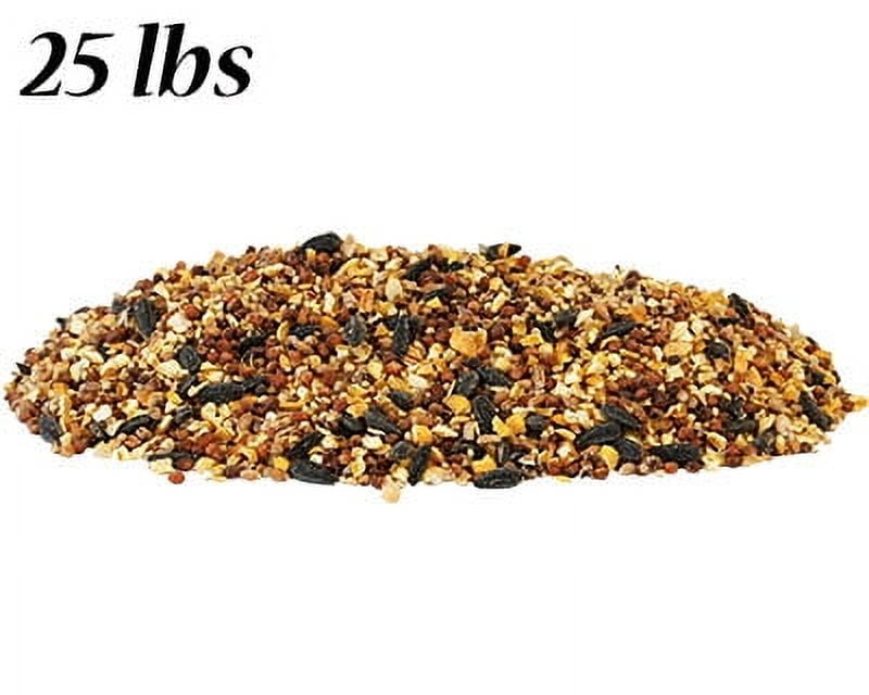 Wild Bird Seed Mix, Economy Blend, 25 lbs. - Walmart.com