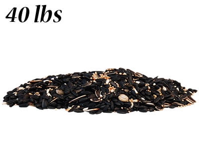 Wild Bird Seed Mix, Premium Classic, 40 lbs. - Walmart.com