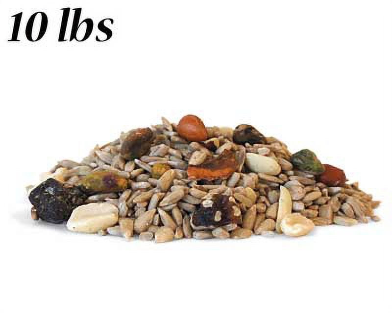 Wild Bird Seed Mix, Shell Free Fruit and Nut, 10 lbs. - Walmart.com