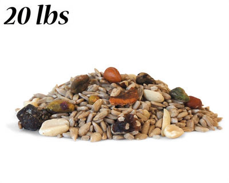 Wild Bird Seed Mix, Shell Free Fruit and Nut, 20 lbs. - Walmart.com