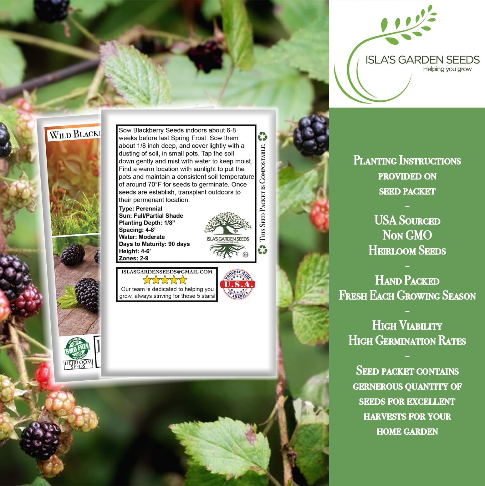 Wild BlackBerry Fruit Bush/Shrub Seeds, 20 Seeds H2FSDPer Packet, (Isla ...
