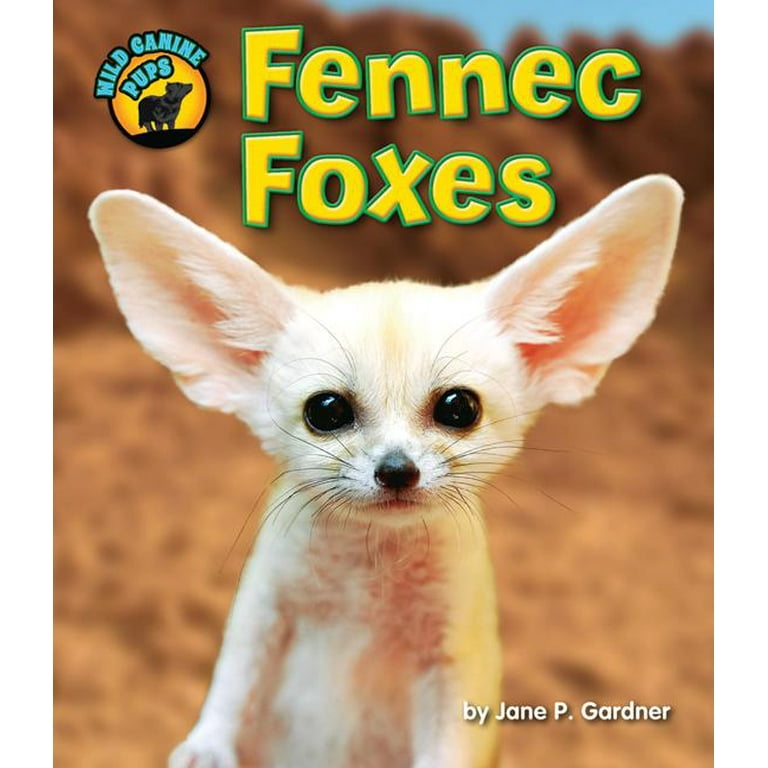 Fennec Fox In The Wild