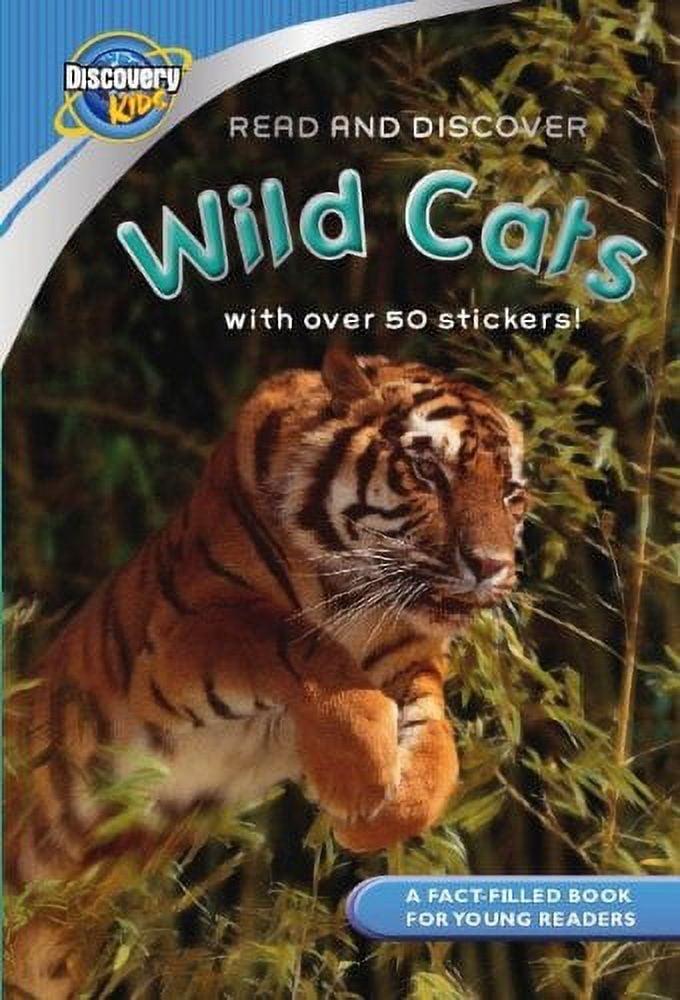Wild Cats (Discovery Kids) (Paperback) by Janine Amos, Parragon - Walmart.com