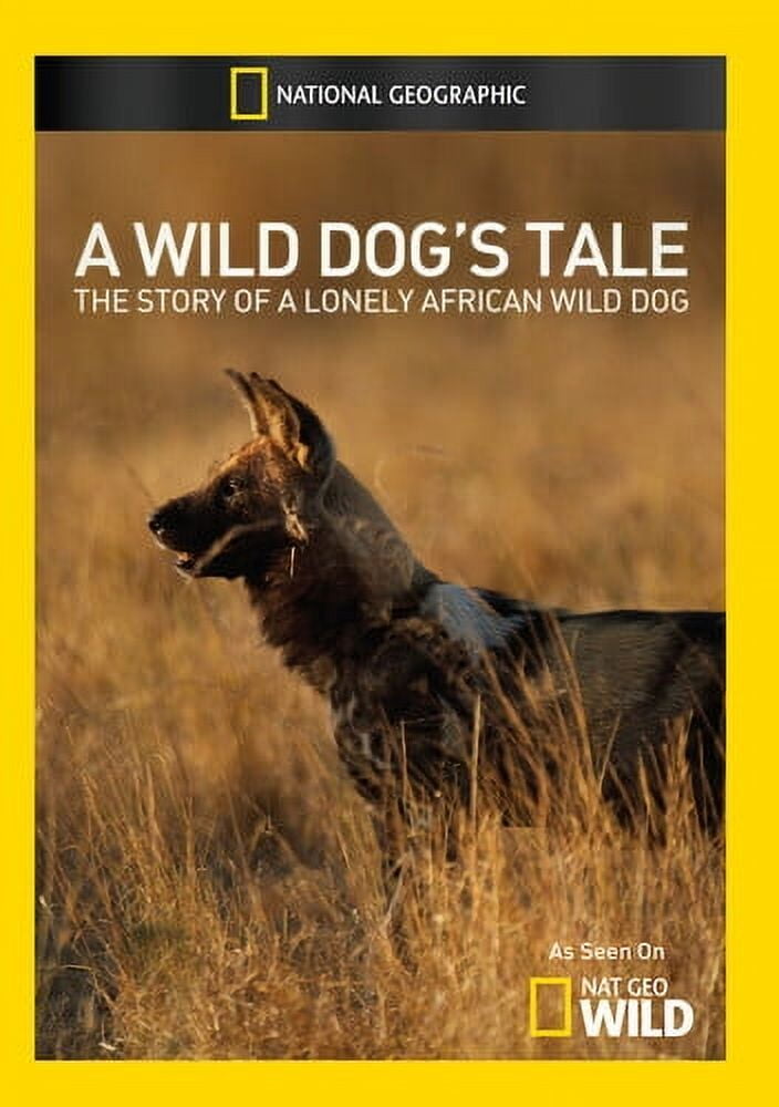 Wild Dogs Tale (DVD), National Geographic, Documentary - Walmart.com