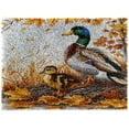 Wild Duck Mallard Latch Hook Rug kits Color Printed Crochet Yarn DIY ...