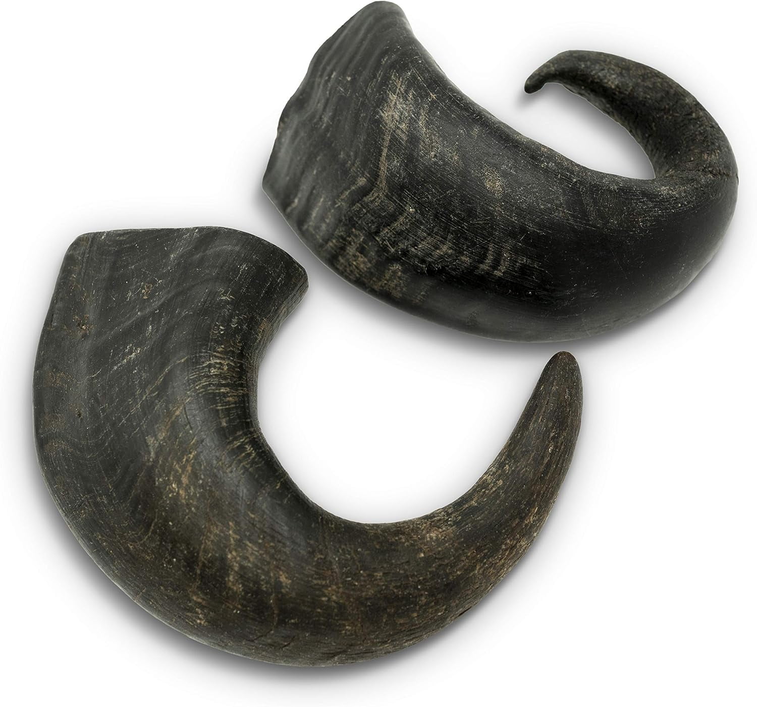 Wild Eats Water Buffalo Horn No Hide Dog Bones & Dog Chews (All Natural ...