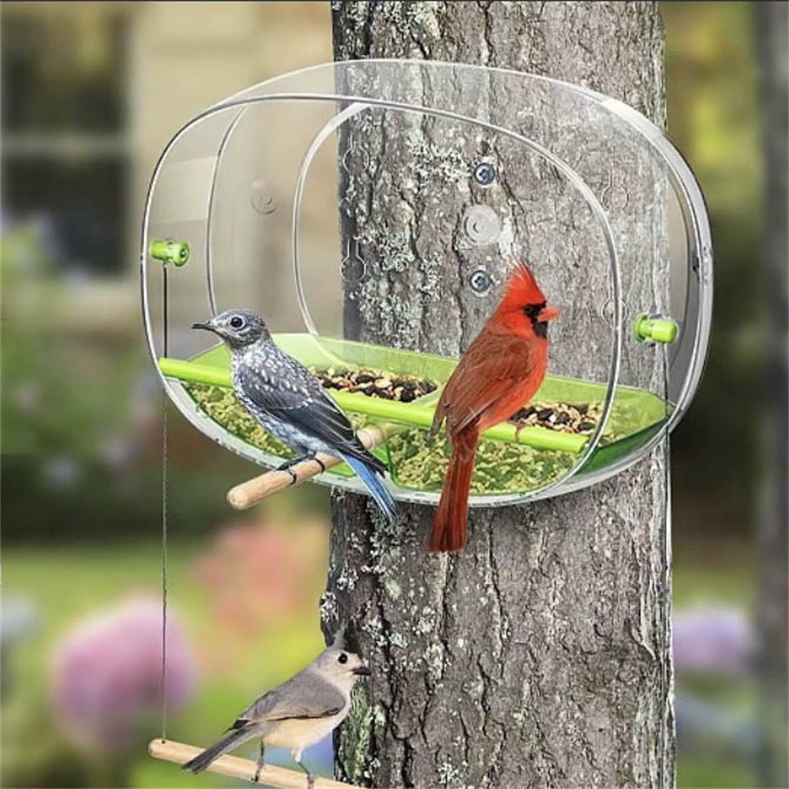 Wild Feeders Squirrel Proof Winter Hummingbird Feeder Memorial Feeder ...