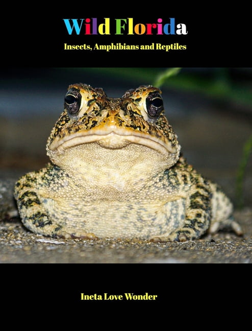 Wild Florida: Insects, Amphibians and Reptiles, (Hardcover) - Walmart.com