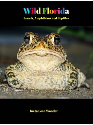 Wild Florida : Insects, Amphibians and Reptiles - Walmart.com
