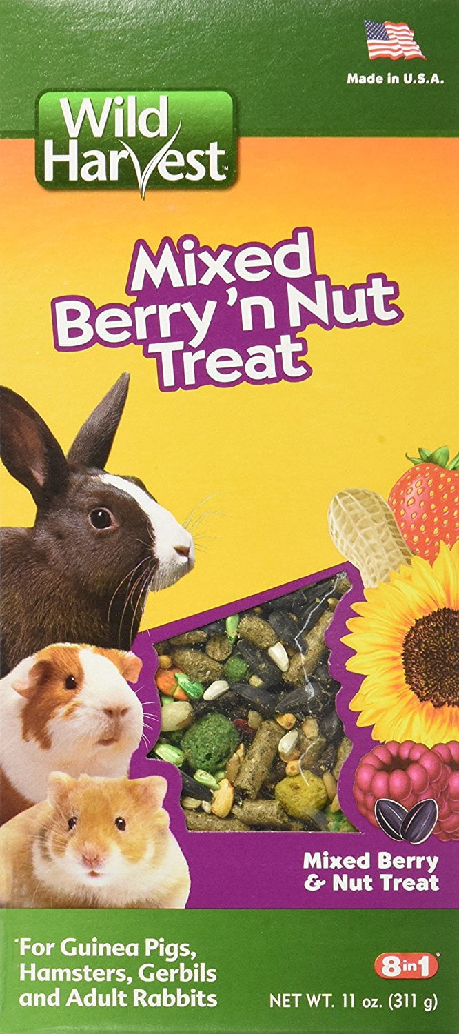 Wild Harvest Wild Berry and Nut Treat for Small Animals - Walmart.com