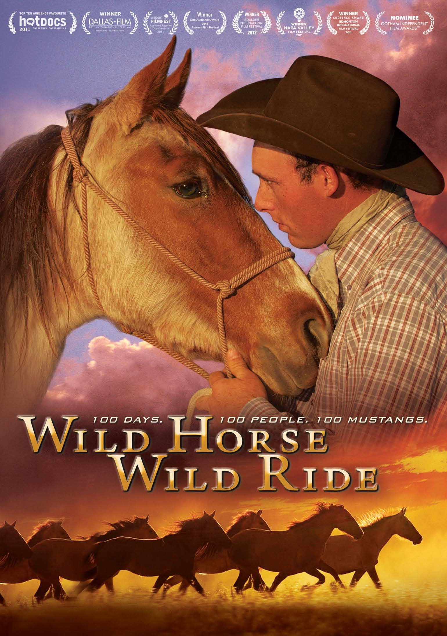 Wild Horse Wild Ride DVD NEW - Walmart.com
