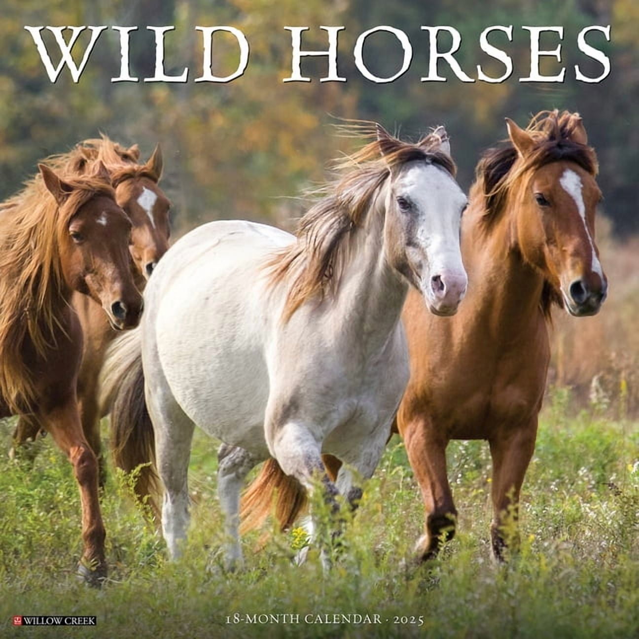 Wild Horses 2026 12 X 12 Wall Calendar, (Hardcover) - Walmart.com