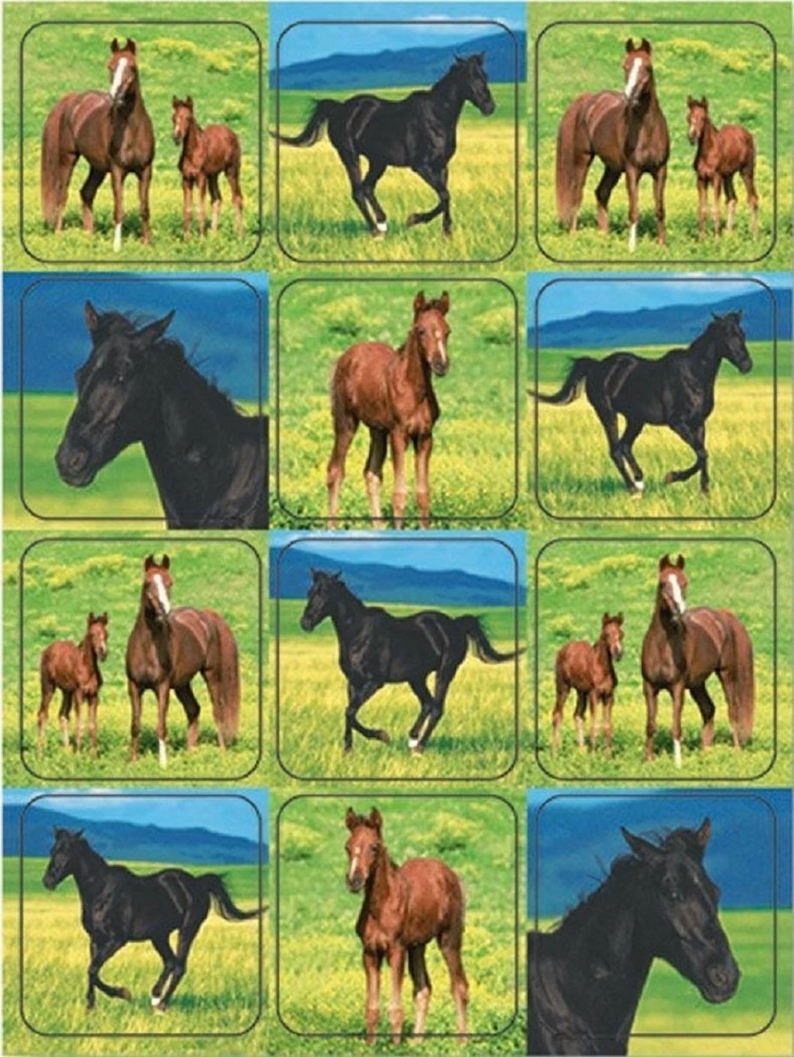 Wild Horses Animal Farm Western Ranch Birthday Party Favor Scrapbook ...