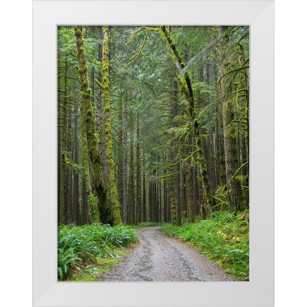 Wild, Jamie and Judy 12x14 White Modern Wood Framed Museum Art Print ...