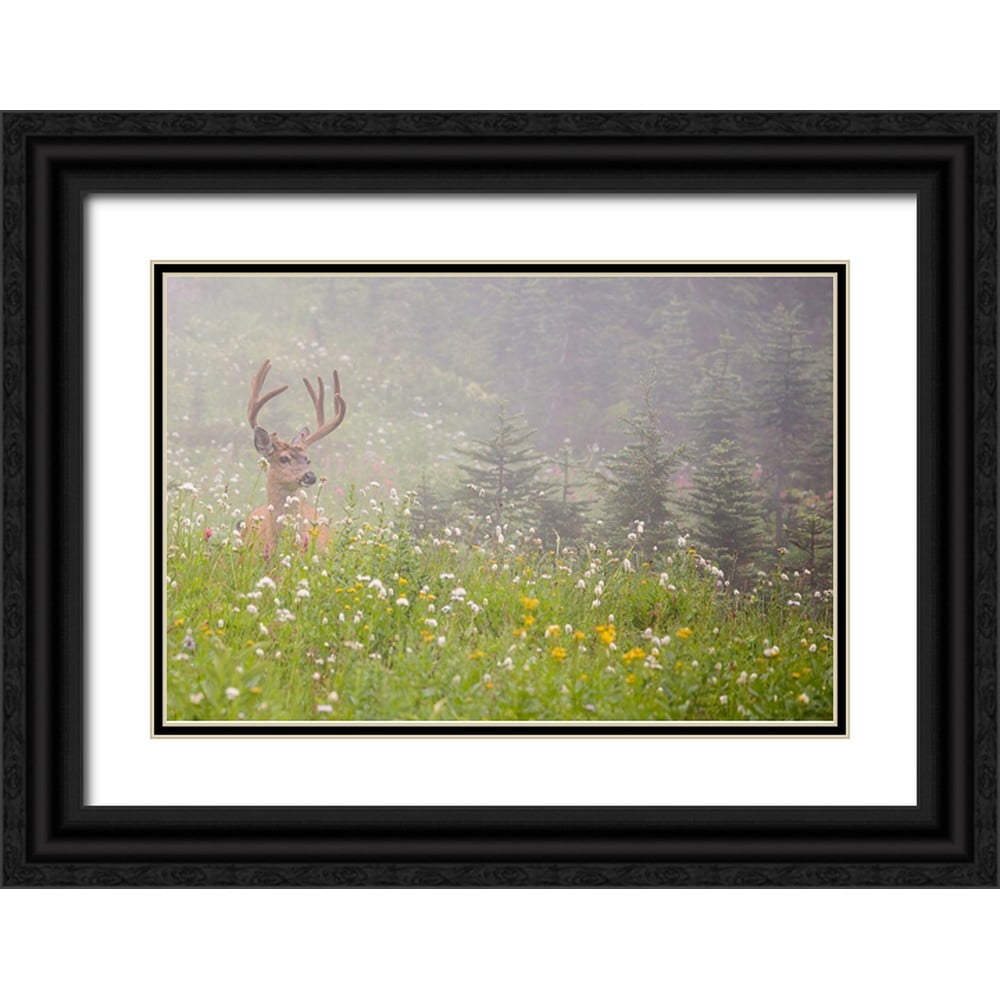 Wild, Jamie and Judy 14x11 Black Ornate Wood Framed with Double Matting ...