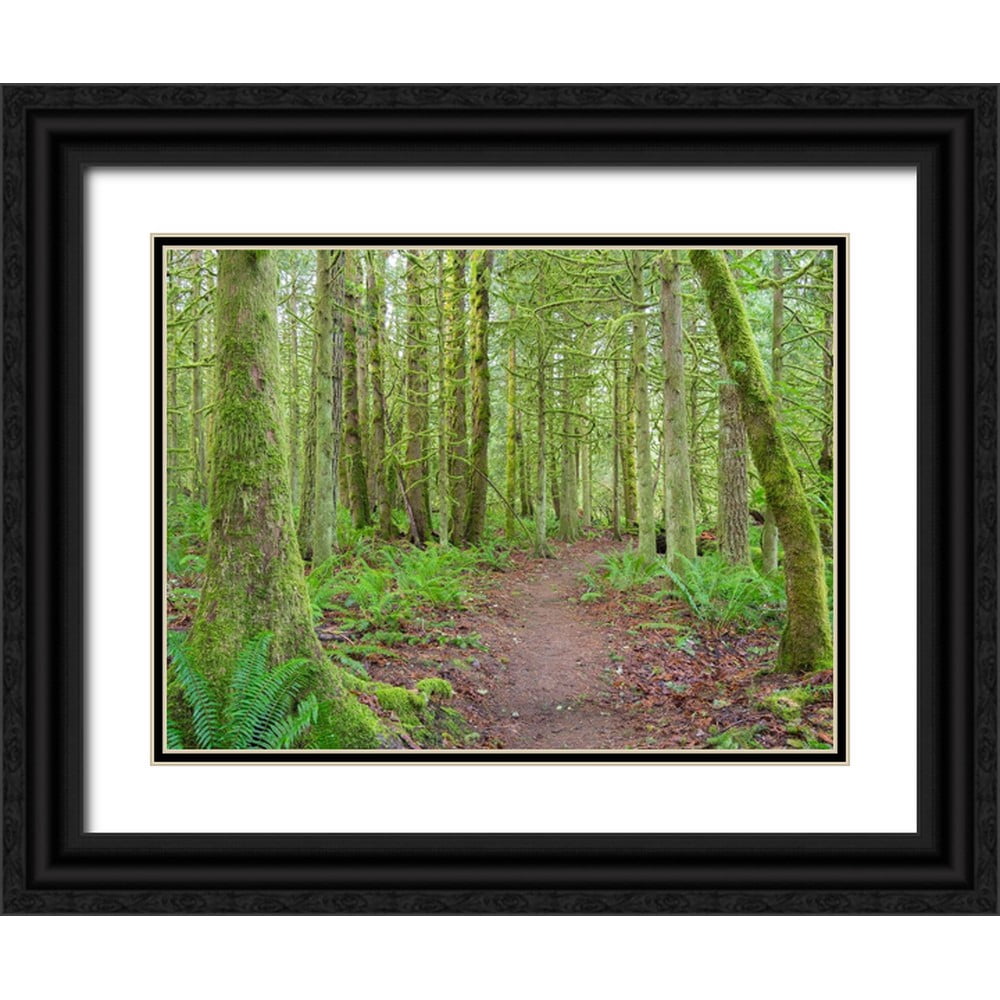 Wild, Jamie and Judy 14x12 Black Ornate Wood Framed with Double Matting ...
