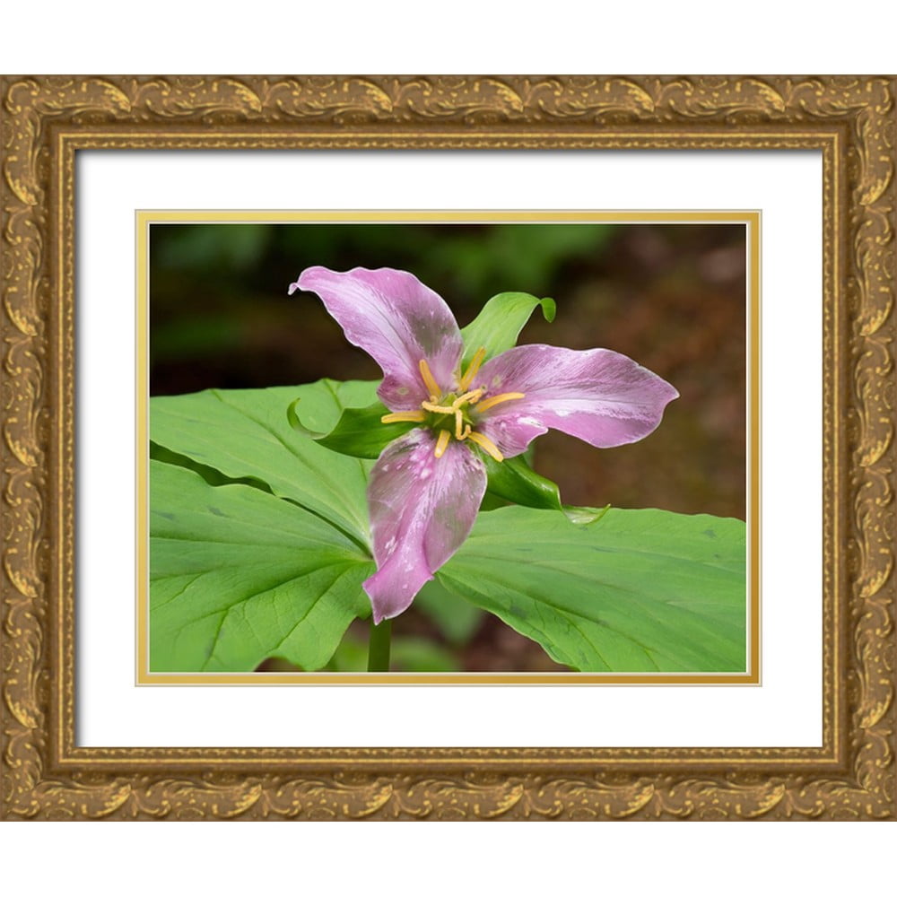 Wild, Jamie and Judy 14x12 Gold Ornate Wood Framed with Double Matting ...