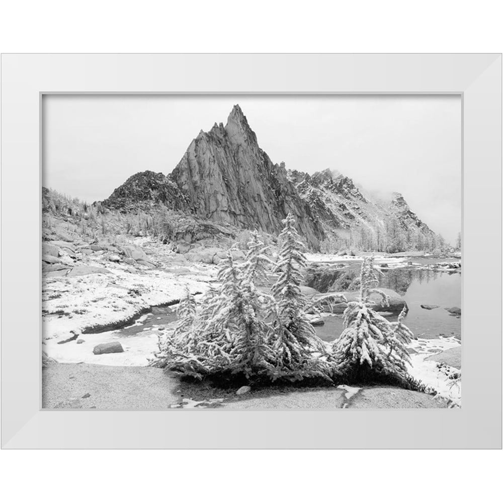 Wild, Jamie and Judy 14x12 White Modern Wood Framed Museum Art Print ...