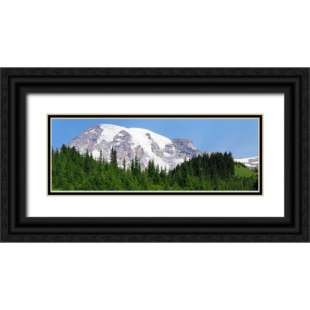 Wild, Jamie and Judy 14x7 Black Ornate Wood Framed with Double Matting ...